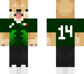 Doge Minecraft Skins
