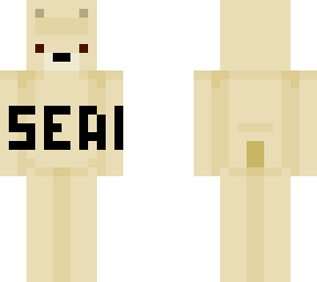 Sean | Minecraft Skin