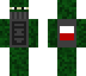 Polish Soldier | Minecraft Skin