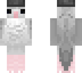 Hey look it’s the Birb | Minecraft Skin