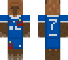 Capibara U de chile | Minecraft Skin