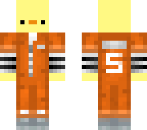 arrested duck | Minecraft Skin