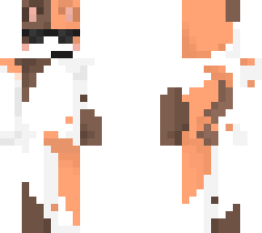 fin | Minecraft Skins