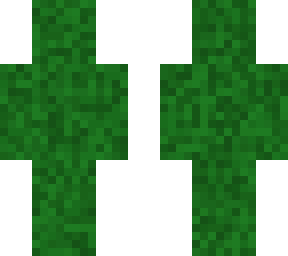 go touch grass | Minecraft Skin