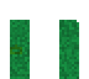 The Headless Creeper | Minecraft Skin