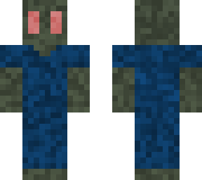 Janitor Fly | Minecraft Skin