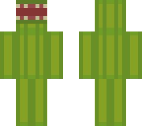 Watermelon shark | Minecraft Skin