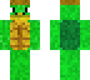 Turtle | Minecraft Skin
