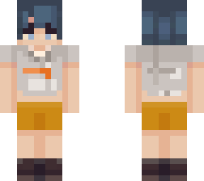 PUT ON THE SKIN PUCK | Minecraft Skin