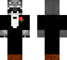 Mapache cooll | Minecraft Skin