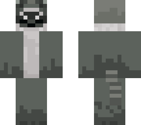 Raccoon | Minecraft Skin