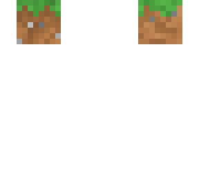 Dirty Block | Minecraft Skin