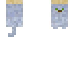 cat in the hat | Minecraft Skins