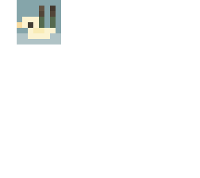 Duck Pfp | Minecraft Skin