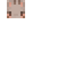 Pusheen Icon | Minecraft Skin