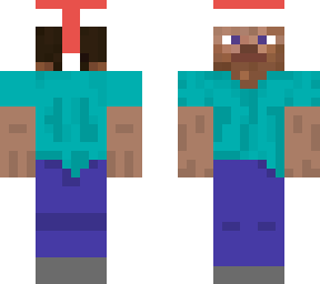 backwards steve | Minecraft Skins