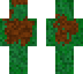 grass block | Minecraft Skins