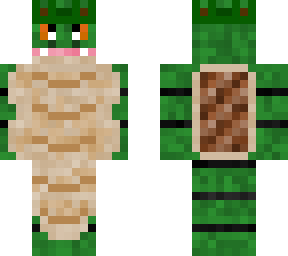 turtle | Minecraft Skin
