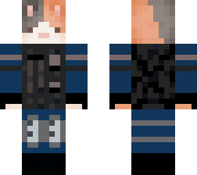 Gato poli | Minecraft Skin