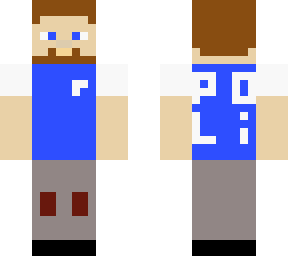 POLI | Minecraft Skin