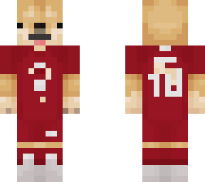 FIFA world cup Qatar 2022 | Minecraft Skin