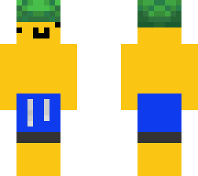 Pool | Minecraft Skin