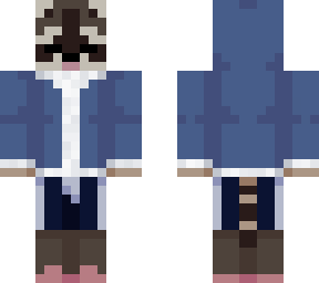 raccoon | Minecraft Skin