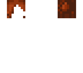 Hair Bun | Minecraft Skin