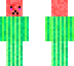 Watermelon cat | Minecraft Skin
