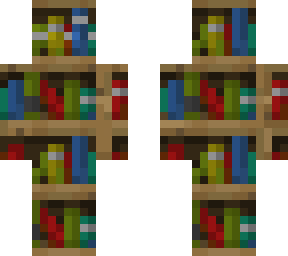 Book Shelf | Minecraft Skin