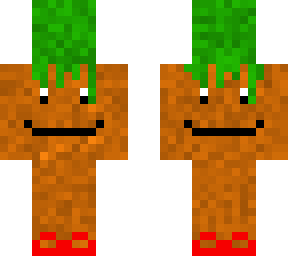 Confused Land?! | Minecraft Skin