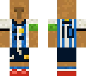 cui peruano argentino | Minecraft Skin