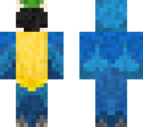 Blue and Gold Macaw | Minecraft Skin