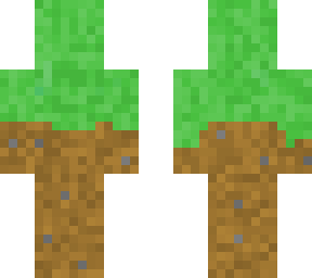 grass block | Minecraft Skin