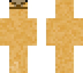 Minecraft Camel