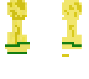Fifa world cup | Minecraft Skin