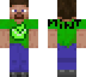 Minto Steve | Minecraft Skin