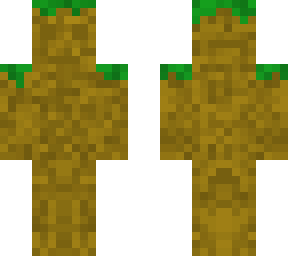 Dirt | Minecraft Skin