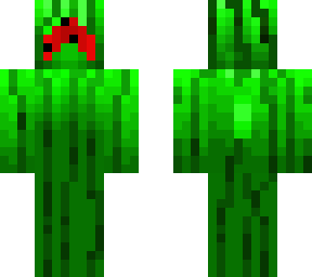 Watermelon Shark! | Minecraft Skin