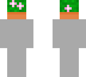 Flor | Minecraft Skin