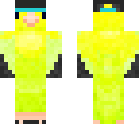 temp Birb Cap | Minecraft Skin