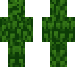 Bush | Minecraft Skin