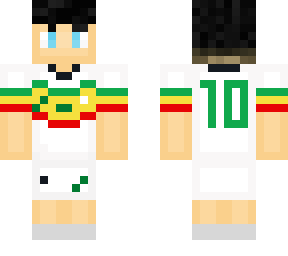 Senegal Fan Skin | Minecraft Skin