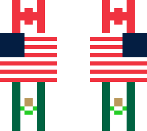 Flags of the Americas | Minecraft Skin