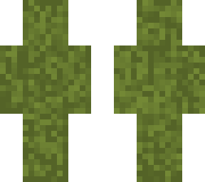 monsoon | Minecraft Skins