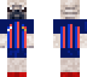 pug | Minecraft Skins