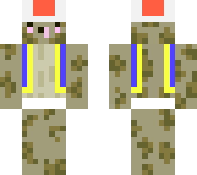 TOAD!! | Minecraft Skin