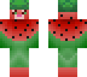 Watermelon Cat with Turtle Shell Helmet | Minecraft Skin