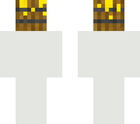 beer head | Minecraft Skin