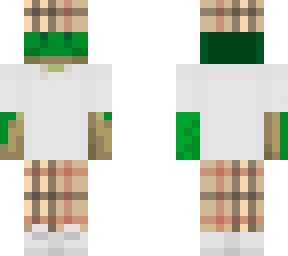 tortoise | Minecraft Skins